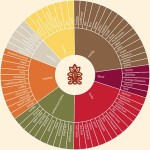 Cioccolato Tasting Wheels - Cooking With Sin